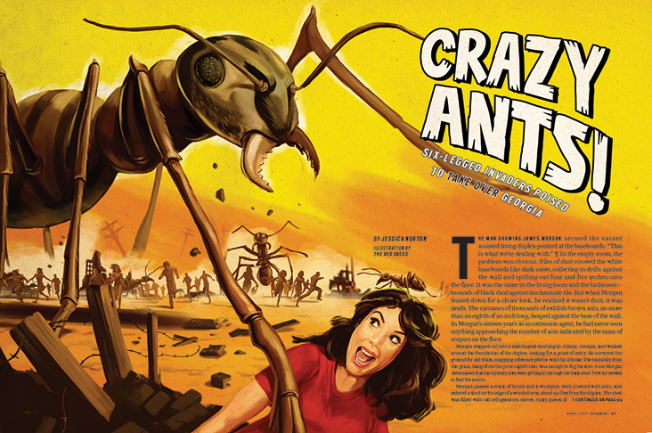 Crazy Ants – Jessica Norton